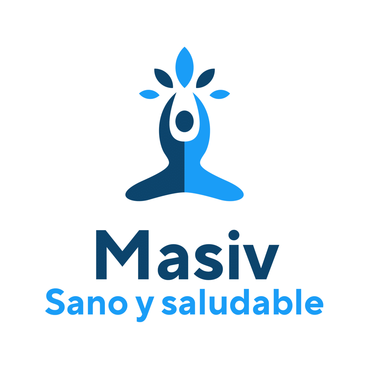Quienes somos - Masiv